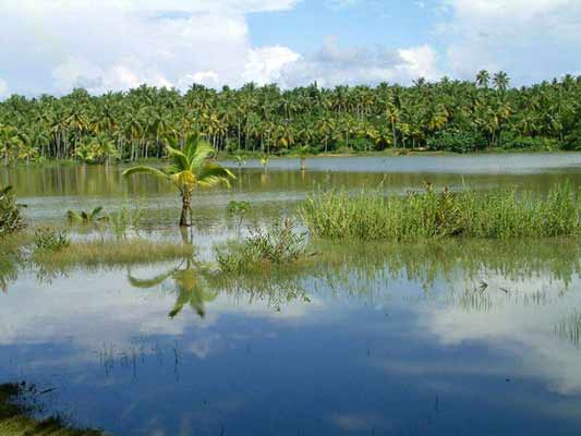 Paravur Kayal in Kollam, Kerala | Keralaorbit